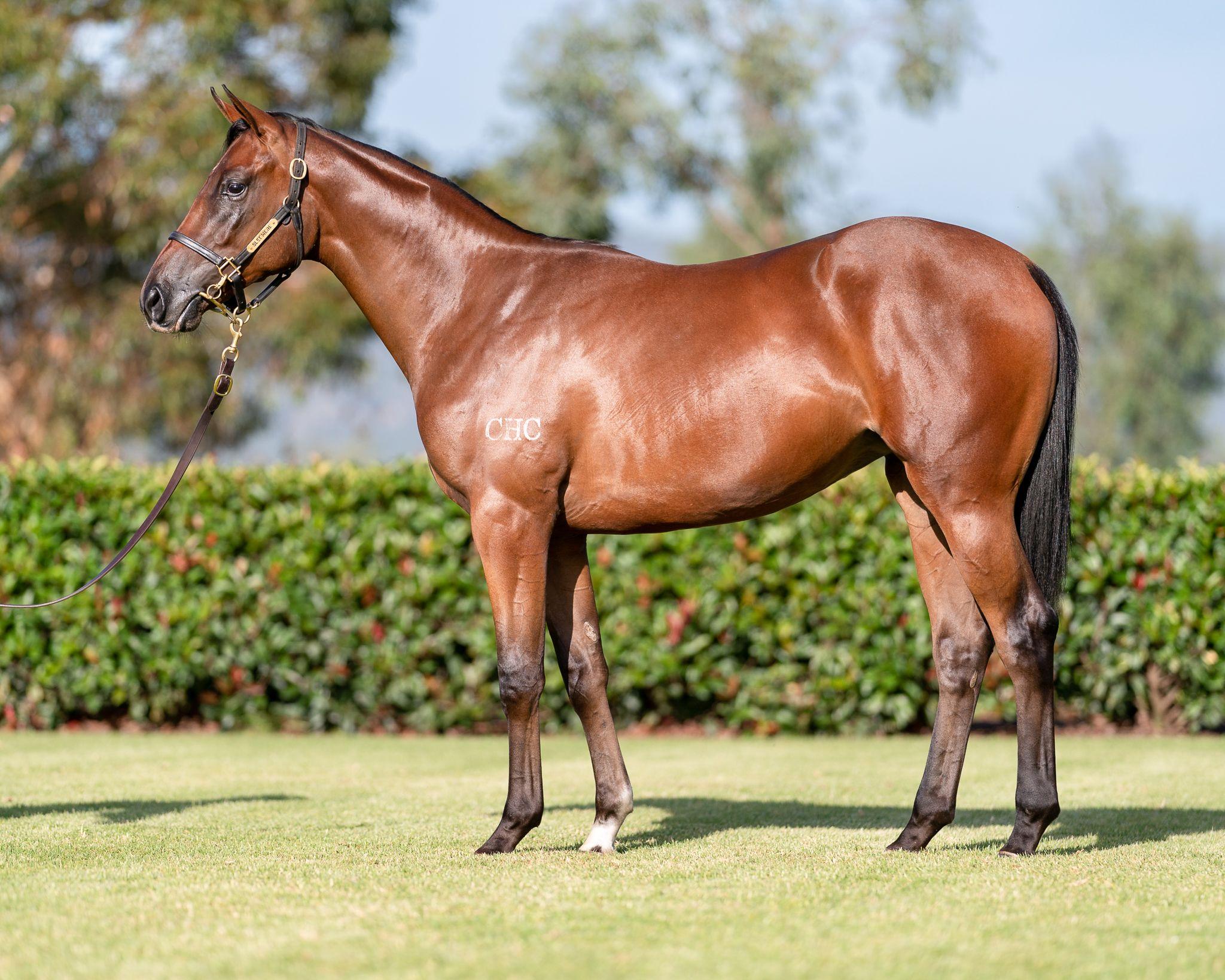 Home | Anthony Mountney Racing